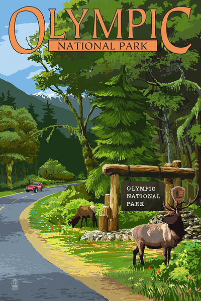 Lantern Press - 111304