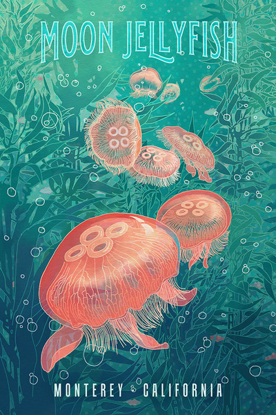 Lantern Press - 114850