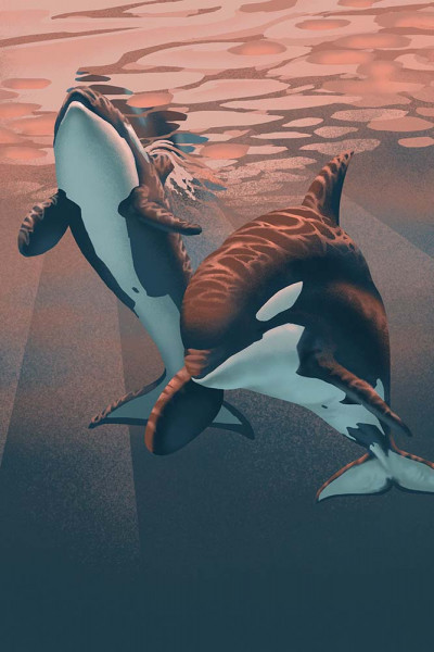 Lantern Press - 122983