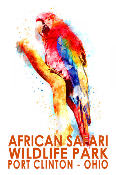 Lantern Press - 132492