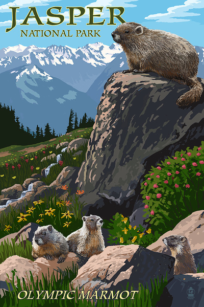 Lantern Press - 88087