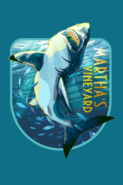 Lantern Press - 95877